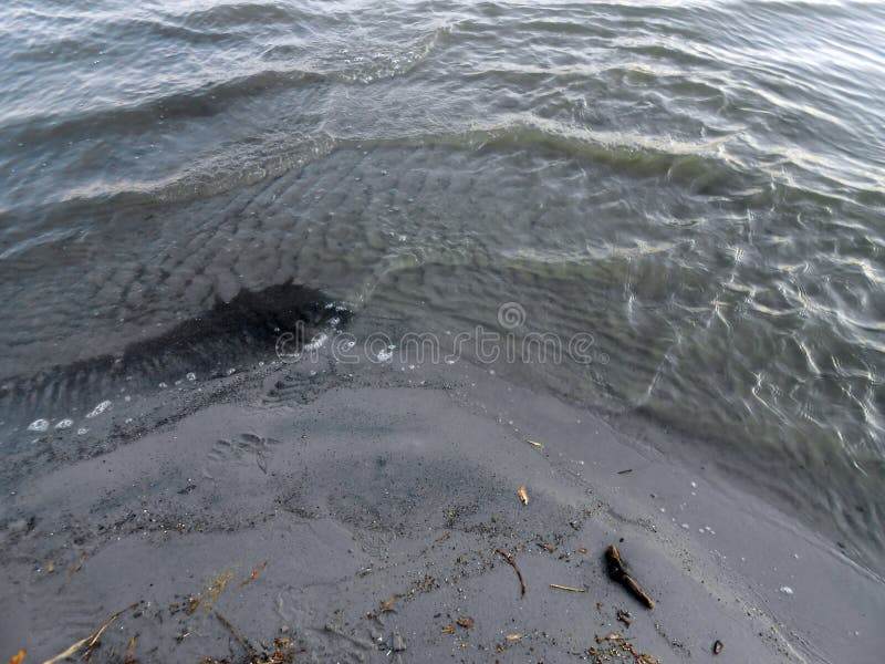 River bank - flow stock image. Image of sand, shore - 131068275