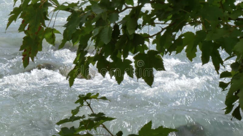 Water and Waves in the Sea, Texture in Motion Stock Video - Video of ...