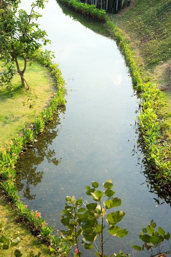 Garden Brook stock image. Image of cascading, flowing - 3352993