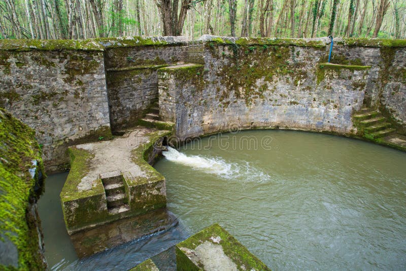 Water in Well in Forest stock image. Image of entertainment - 54494953