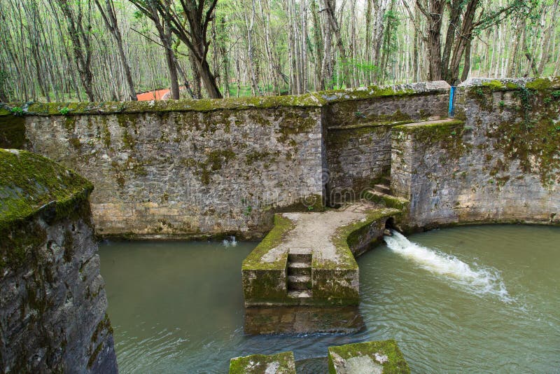 Water in Well in Forest stock image. Image of autumn - 54495187