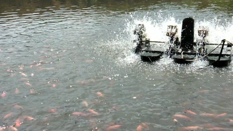 The Water Wheel in the Fish Pond is Useful for Regulating Air ...