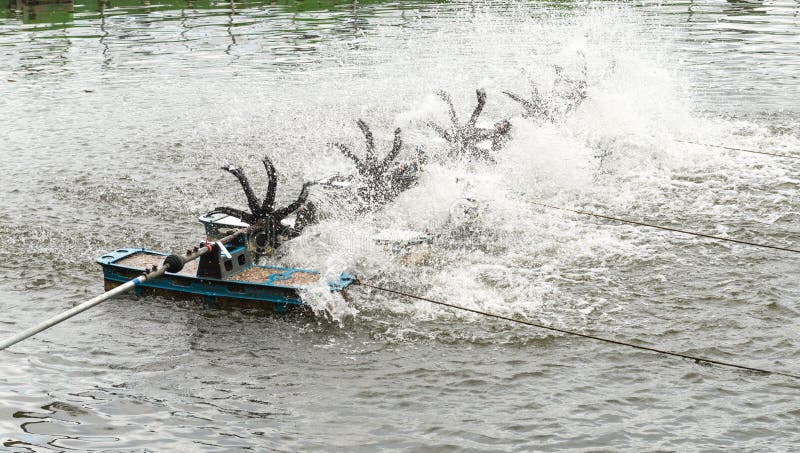 Water Wheel Floating on the Canal of Park Stock Photo - Image of ...