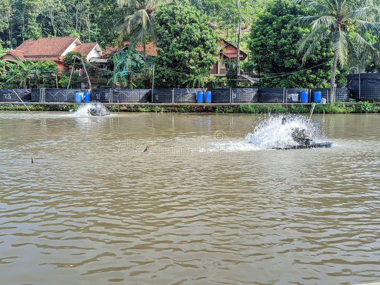 A Water Wheel Installed in a Fish Pond Stock Image - Image of wheel ...