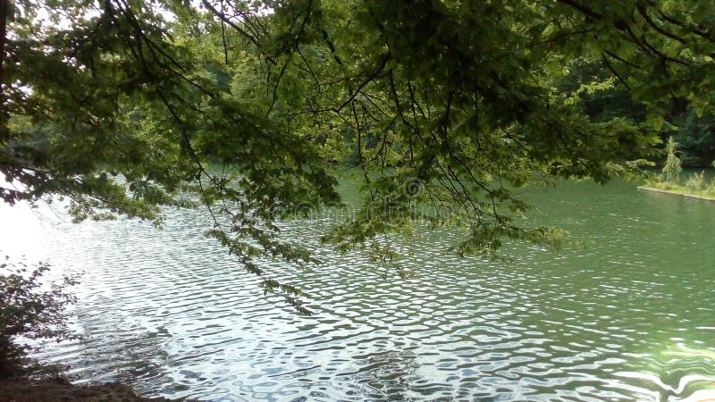 Water and wind ripple stock image. Image of park, water - 92249017