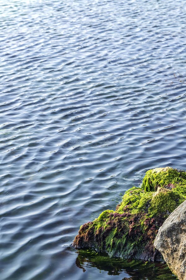 Water Wind Waves and Big Rock with Moss. Stock Photo - Image of beach ...