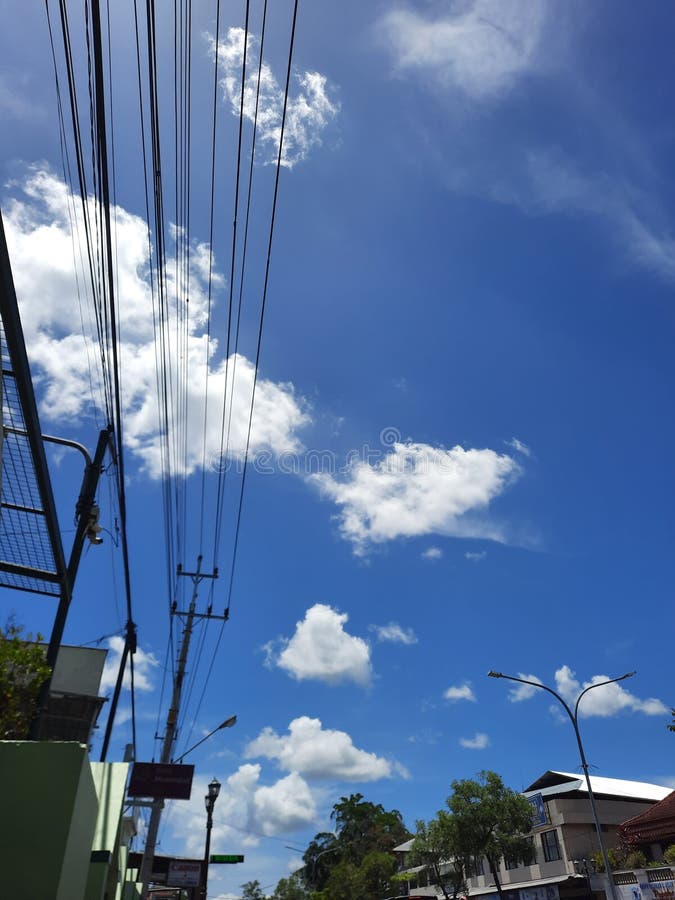Water Winter Tree Sky Blue Cloud Mast Stock Image - Image of line, tree ...