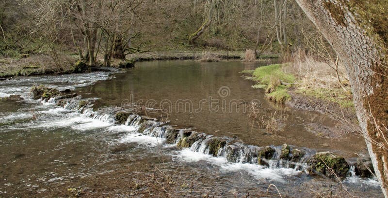 Water and Winter Trees Picture Stock Photo - Image of blue, wild: 23668706