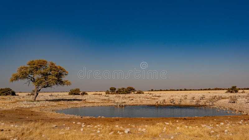 Waterboarded Stock Photos - Free & Royalty-Free Stock Photos from ...