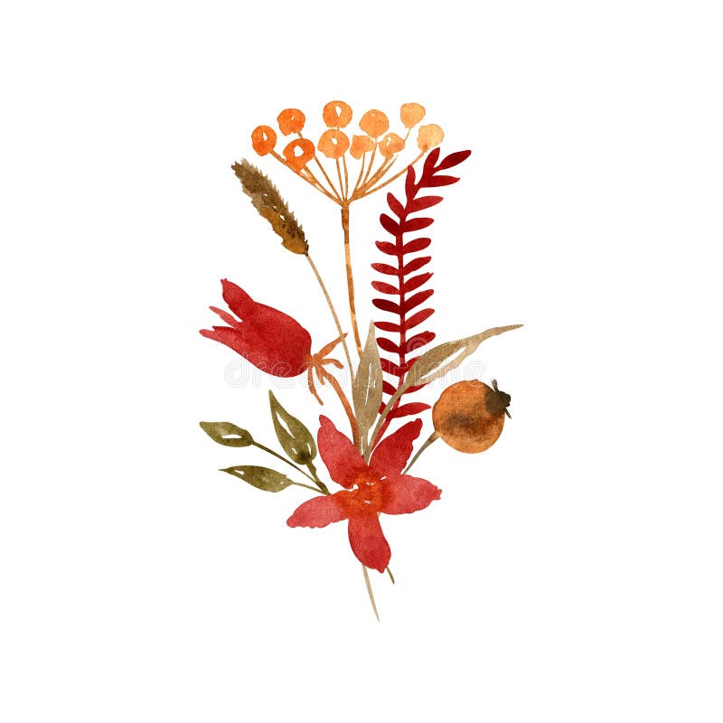 Watercolor Autumn Dried Flowers And Leaves Arrangement Isolated On