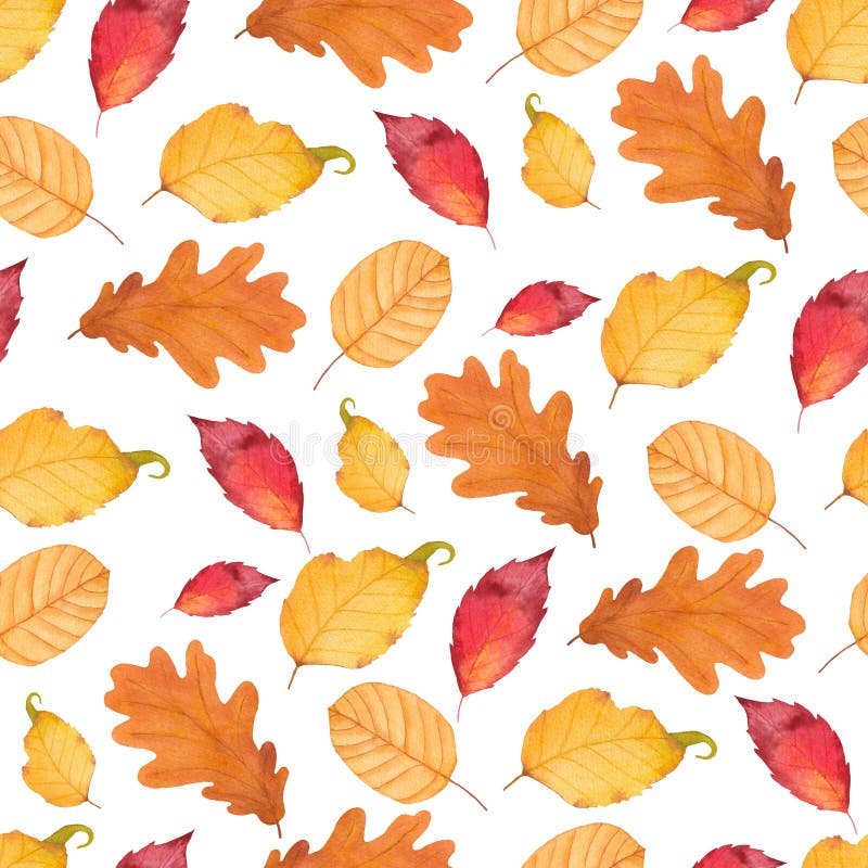 Watercolor Autumn Fall Seamless Pattern. Leaf Pattern. Botanical ...