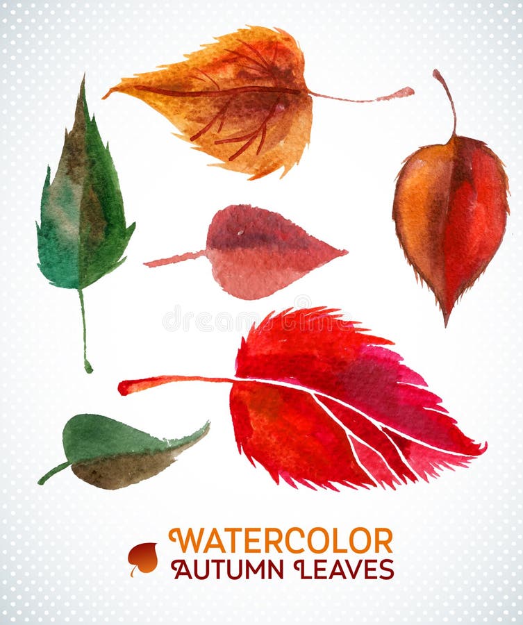 Watercolor Autumn Leaf Set. Illustration Collection of Watercolor Hand ...