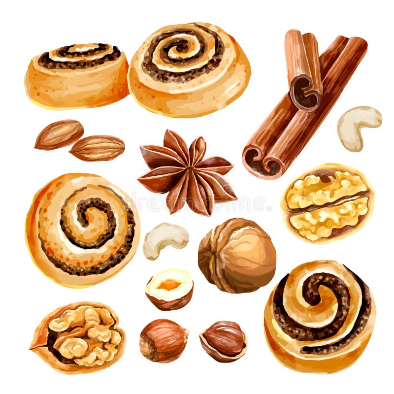 Watercolor Nut Collection. Different Types of Nuts with Names Stock ... Watercolor Nut Collection. Different Types of Nuts with Names Stock ...
