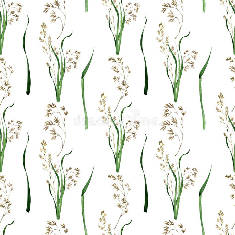 Bluegrass Plant Stock Illustrations – 220 Bluegrass Plant Stock ...