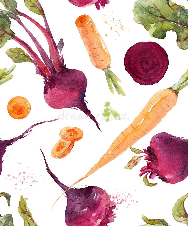 Watercolour Beet Stock Illustrations – 112 Watercolour Beet Stock ...