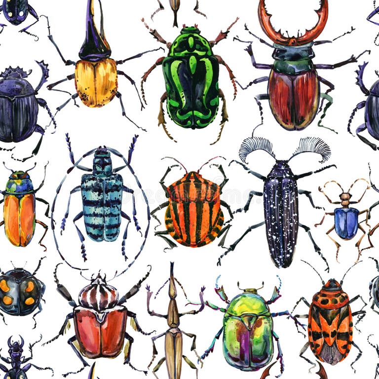 Watercolor Bugs Stock Illustrations – 1,304 Watercolor Bugs Stock ...
