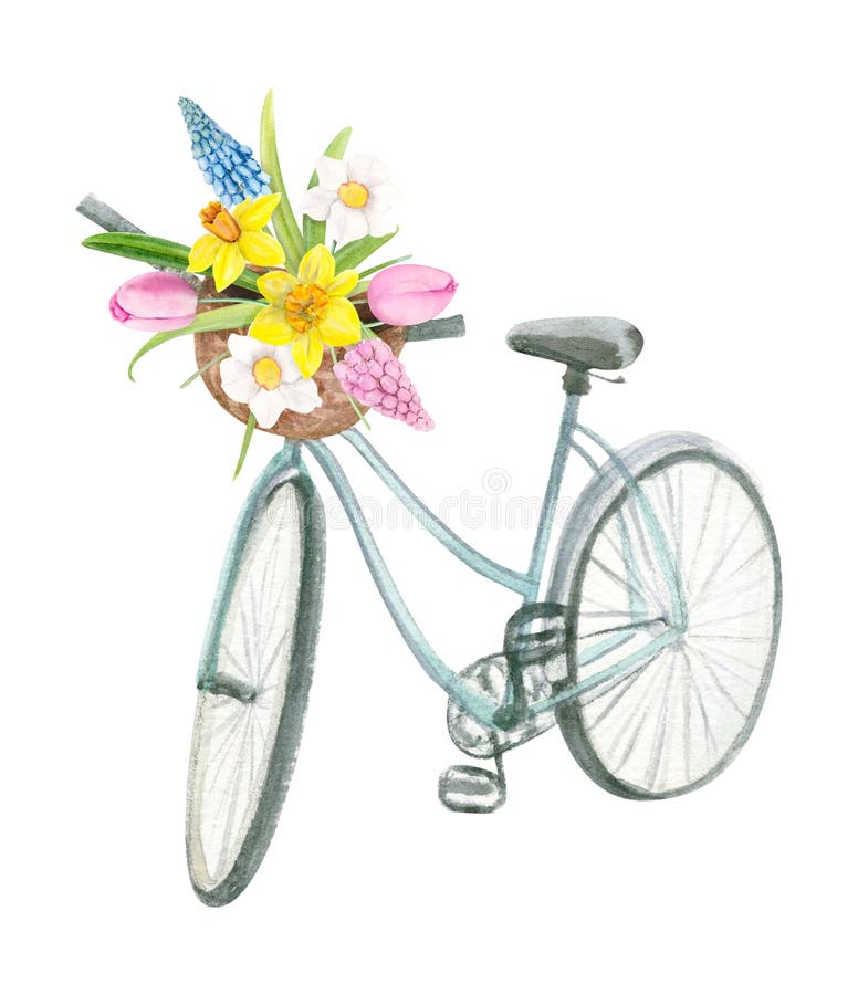 Watercolor Bicycle with Spring Flowers Stock Illustration ...