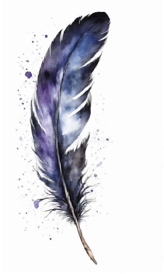 Watercolor Bird Feather Isolated on White Background. Hand Drawn ...