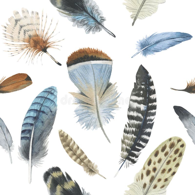 Watercolor Bird Feather Pattern from Wing Isolated. Stock Illustration ...