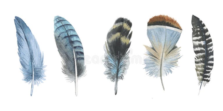 Bird Wing Pattern Stock Illustrations – 130,820 Bird Wing Pattern Stock ...