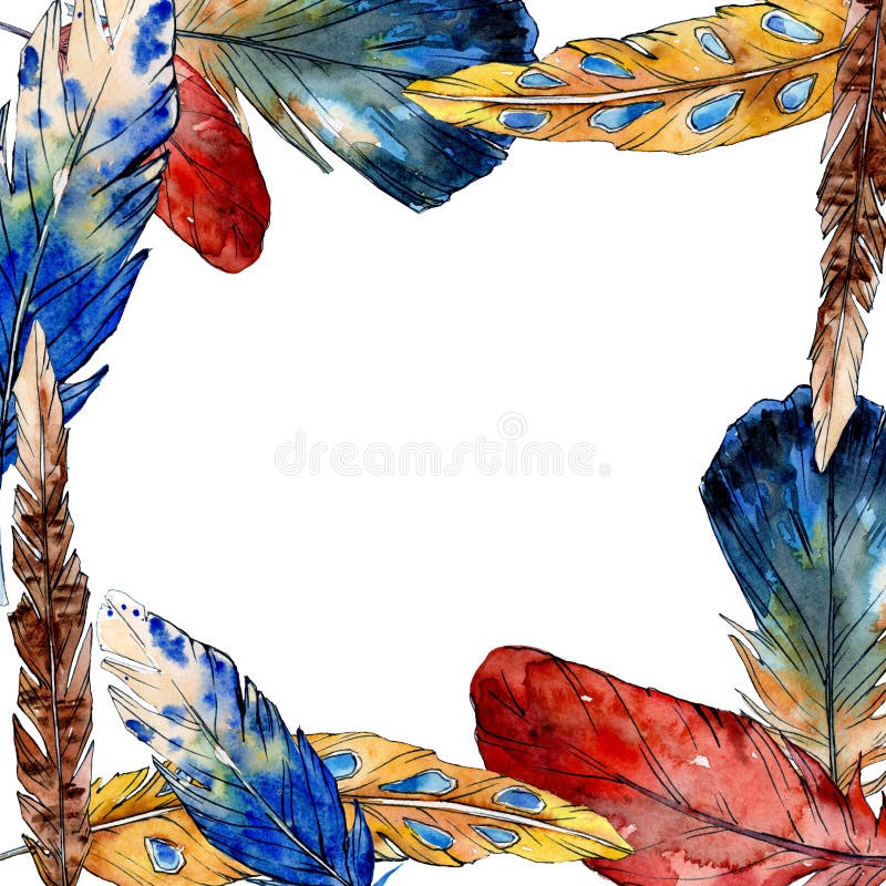 Watercolor Bird Feather from Wing Isolated. Frame Border Ornament ...