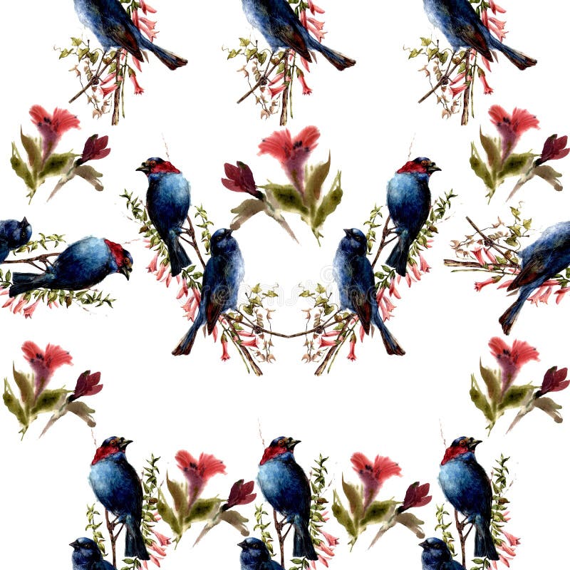 Watercolor birds pattern stock illustration. Illustration of flowers ...