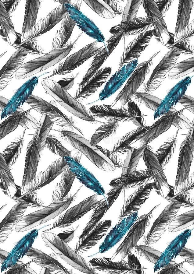 Crow Feather Watercolour Stock Illustrations – 43 Crow Feather ...