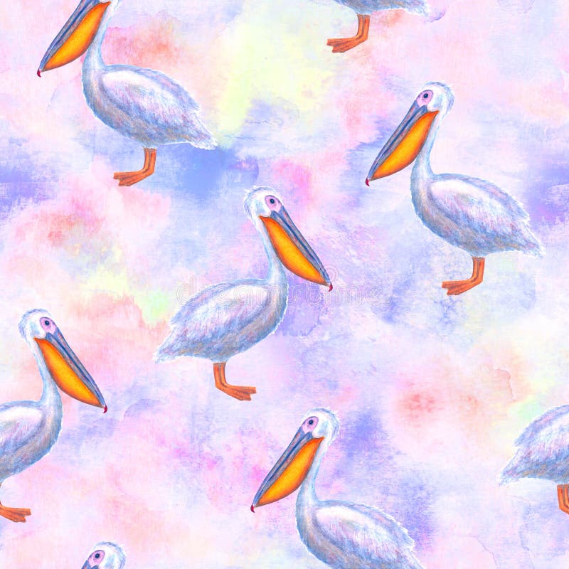 Pelicans Pattern Stock Illustrations – 158 Pelicans Pattern Stock ...