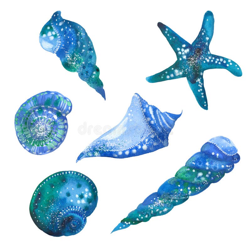 Watercolor blue seashells stock illustration. Illustration of nature ...