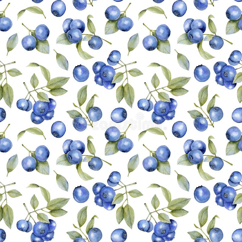 Blueberries Seamless Pattern. Watercolor Vintage Illustration. Isolated ...