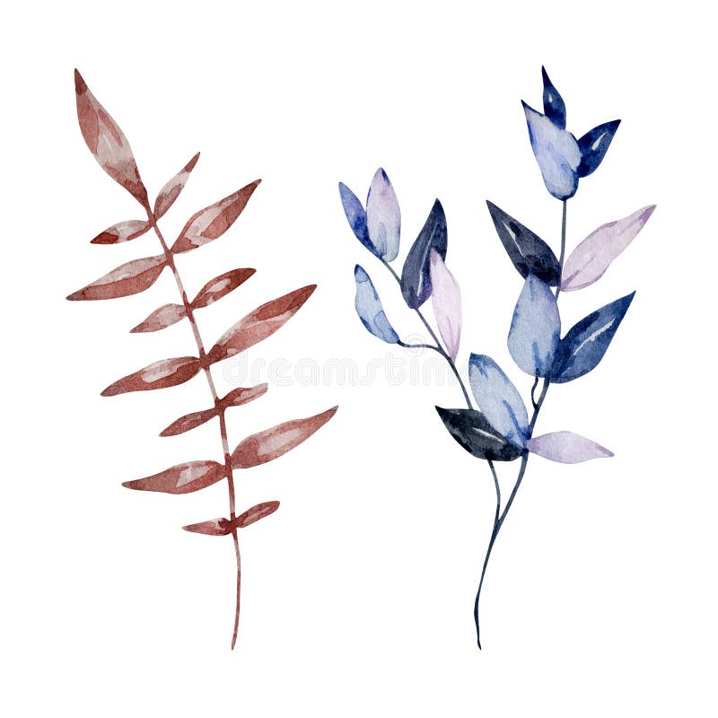 Watercolor boho leaves set stock illustration. Illustration of ...