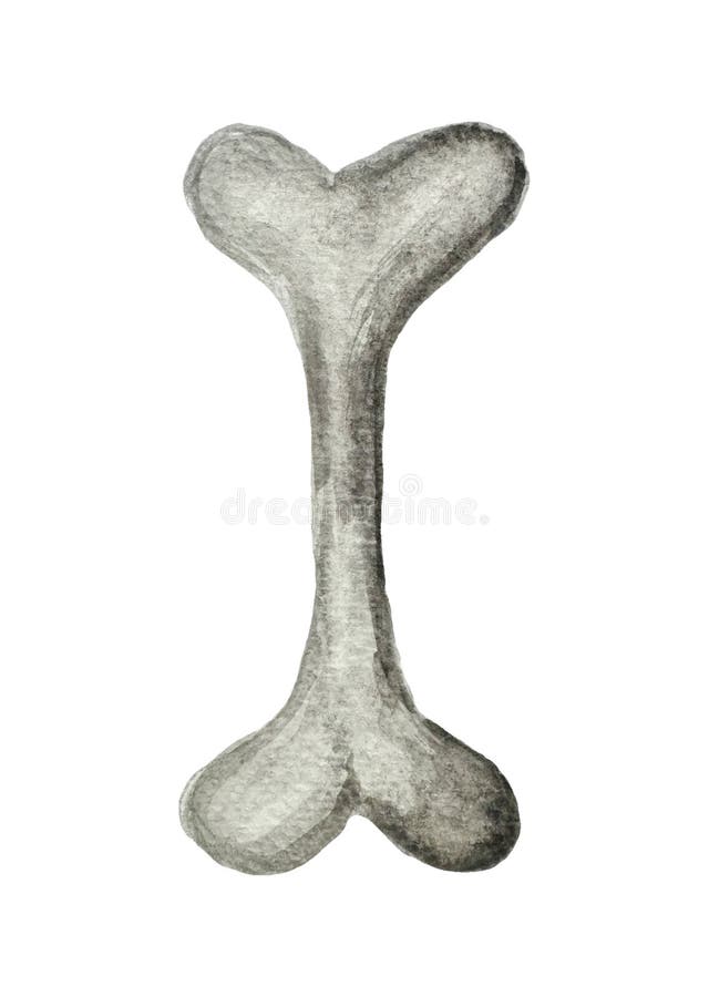 Watercolor Bone on White Background. Halloween Style Clipart Stock ...