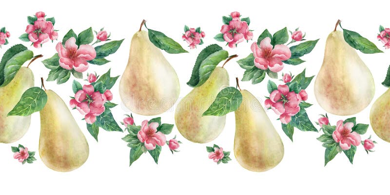 Watercolor Border with Pears, Leaves and Flowers Stock Illustration ...