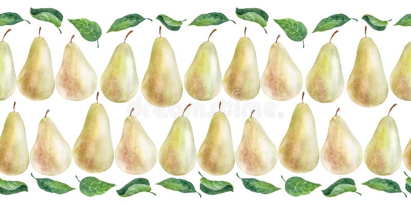 Watercolor Border with Pears, Leaves and Flowers Stock Illustration ...