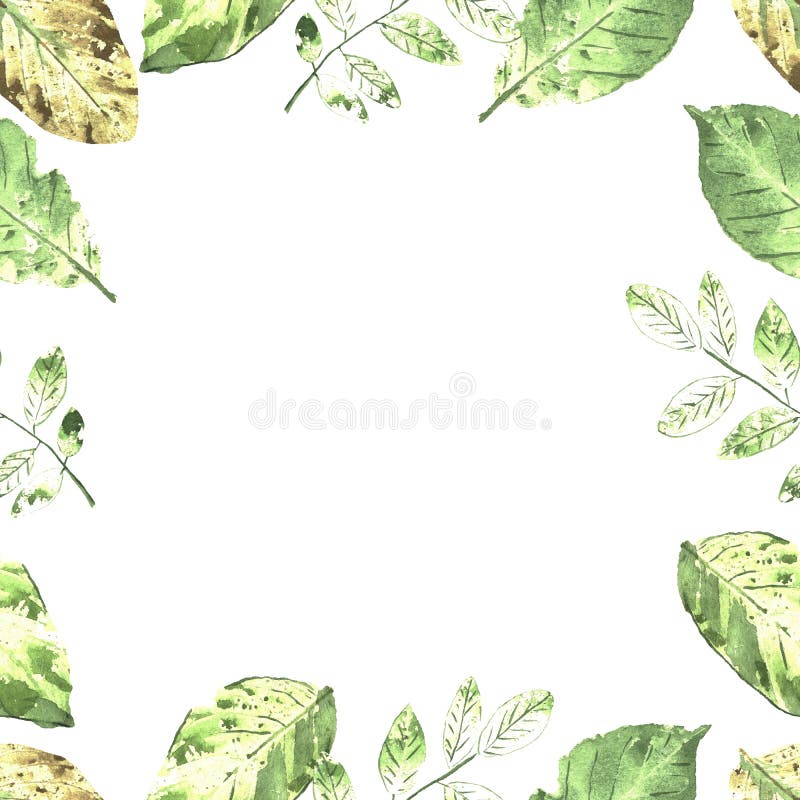 Watercolor Botanical Background. Frame Stock Illustration ...