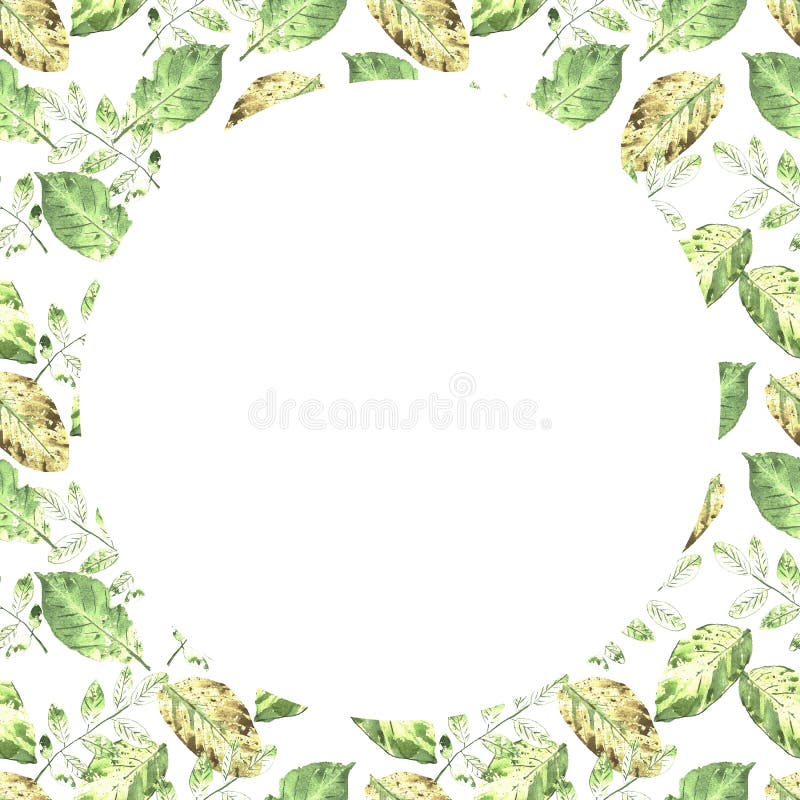 Watercolor Botanical Background. Frame Stock Illustration ...