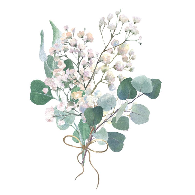 Watercolor Bouquet, Gypsophila Branch and Eucalyptus Branches, Isolated ... Watercolor Bouquet, Gypsophila Branch and Eucalyptus Branches, Isolated ...