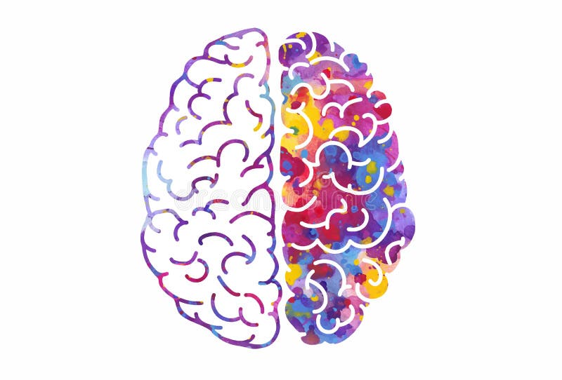 Watercolor Brain, Left and Right Hemispheres. Vector Illustration Stock ...