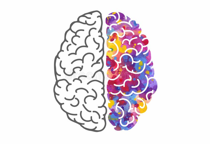 Watercolor Brain, Left and Right Hemispheres. Vector Illustration Stock ...