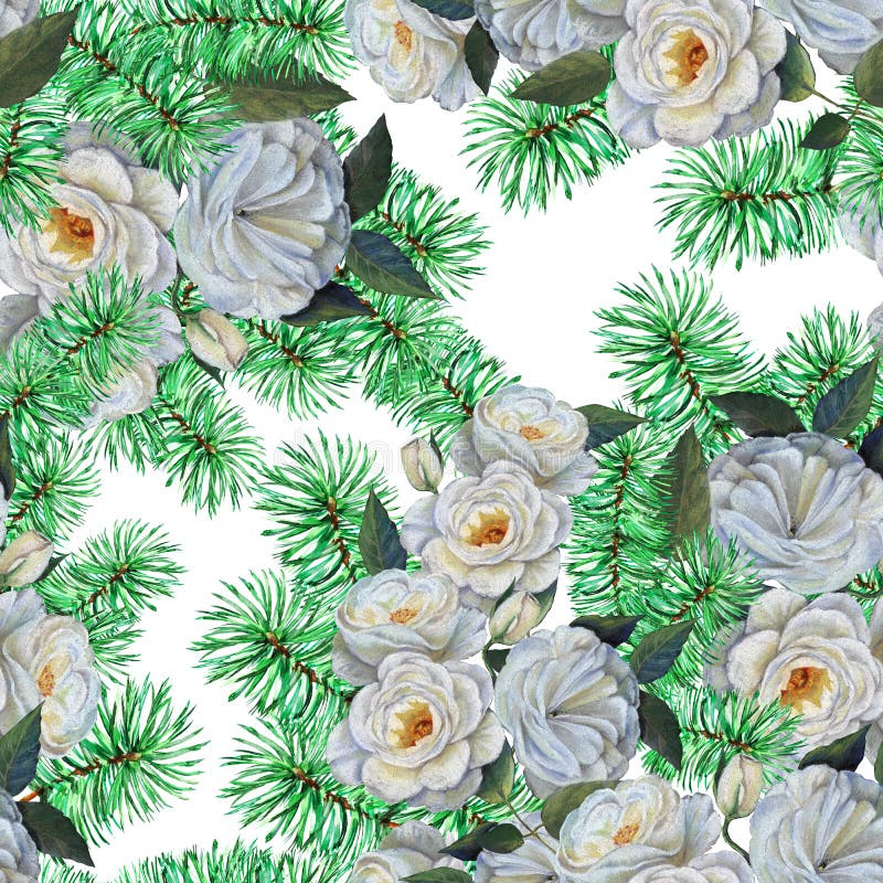 Watercolor Branch Pine Tree with Roses for Decor. Stock Illustration ...