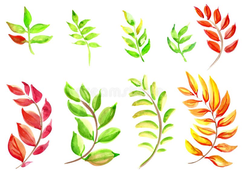 Watercolor Branches of Different Styles Stock Illustration ...
