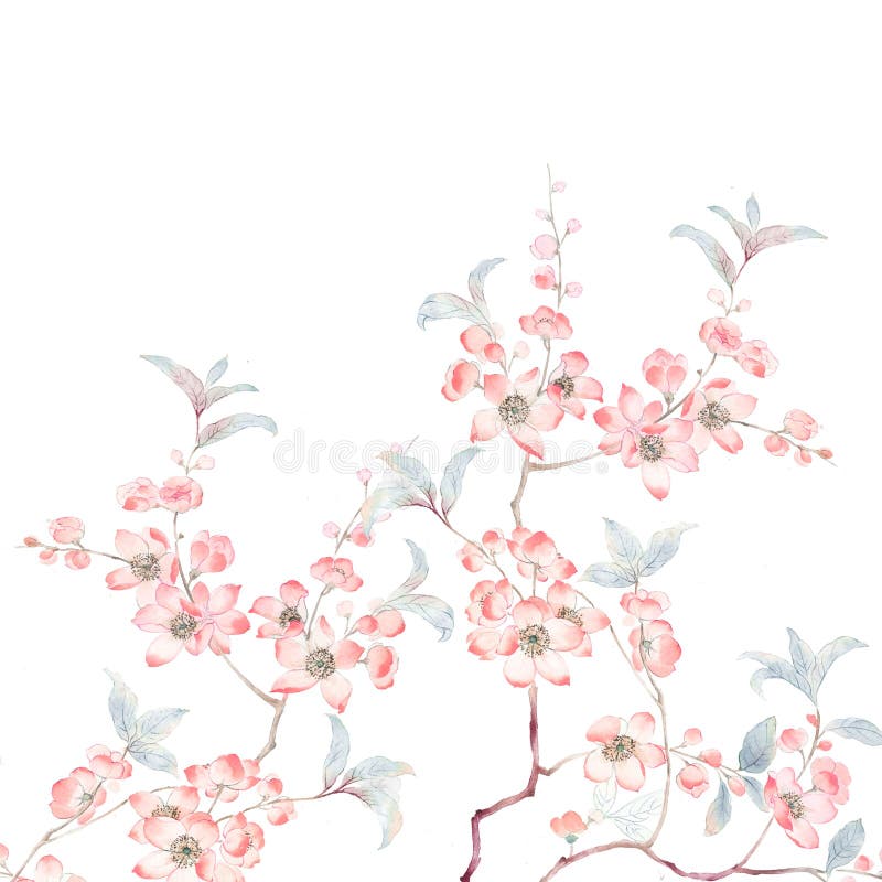 Watercolor Branches and Flowers Watercolor Branches and Flowers Stock ...
