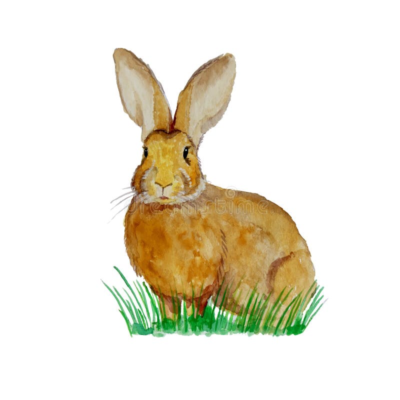 Rabbit Illustration stock illustration. Illustration of renewal - 12692005