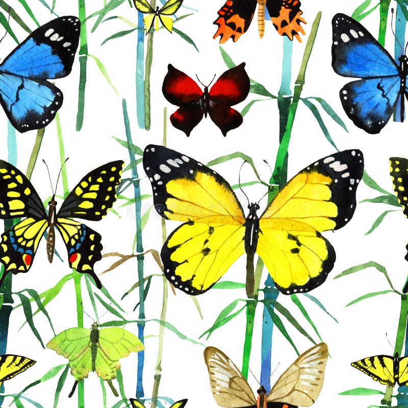 Watercolor Butterfly Pattern Raster Stock Illustrations – 146 ...