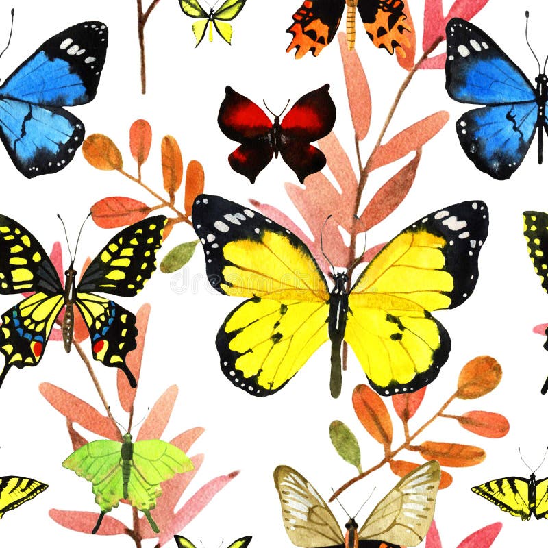 Watercolor Butterfly Pattern Raster Stock Illustrations – 146 ...