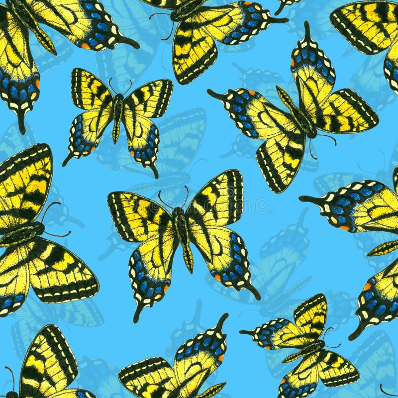 Eastern Tiger Swallowtail Stock Illustrations – 83 Eastern Tiger ...