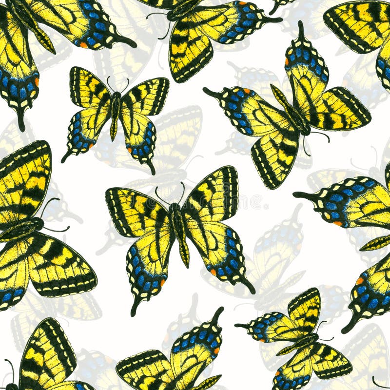 Watercolor Butterfly Pattern Stock Illustration - Illustration of ...