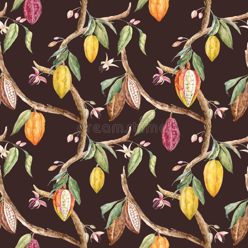 Cacao Texture Stock Illustrations – 4,537 Cacao Texture Stock ...