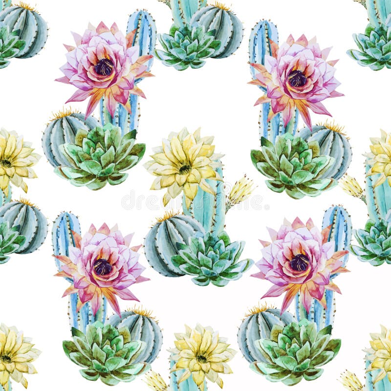 Watercolor cactus pattern stock vector. Illustration of flora - 53413007