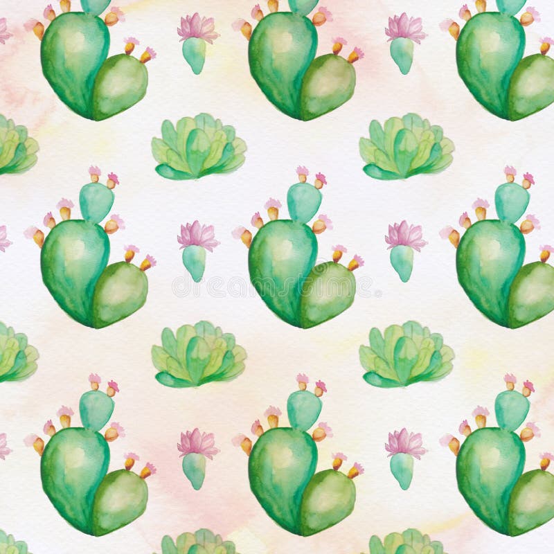 Watercolor Cactus Pattern. Watercolor Hand Draw Cactus and Succulents ...